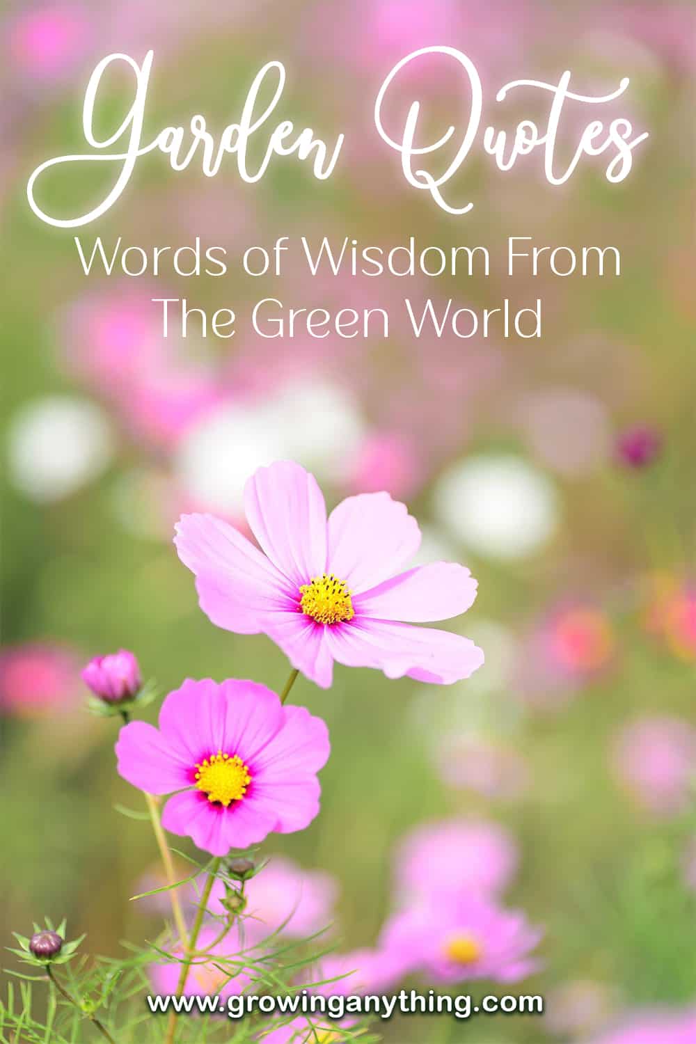 31 Garden Quotes - Words of Wisdom From The Green World