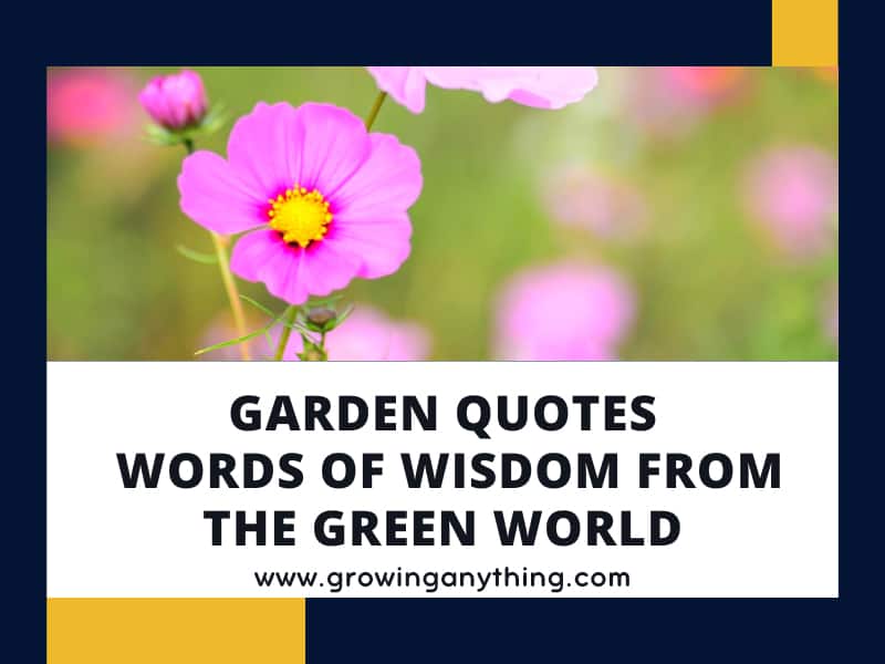 31 Garden Quotes - Words of Wisdom From The Green World