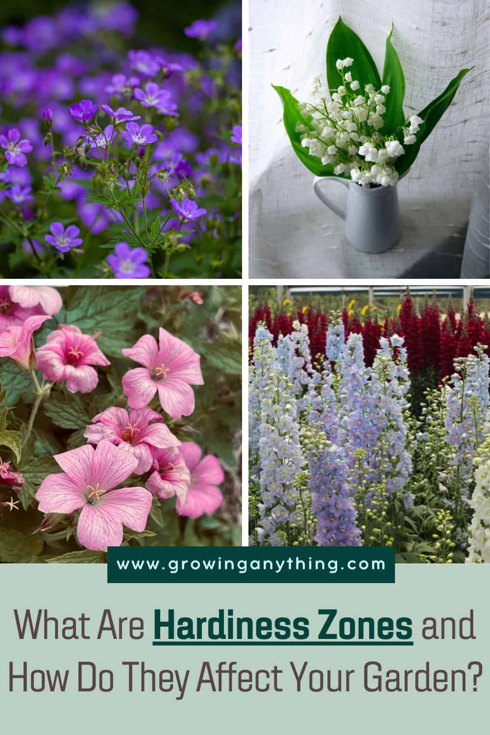 What Are Hardiness Zones and How Do They Affect Your Garden? The ...