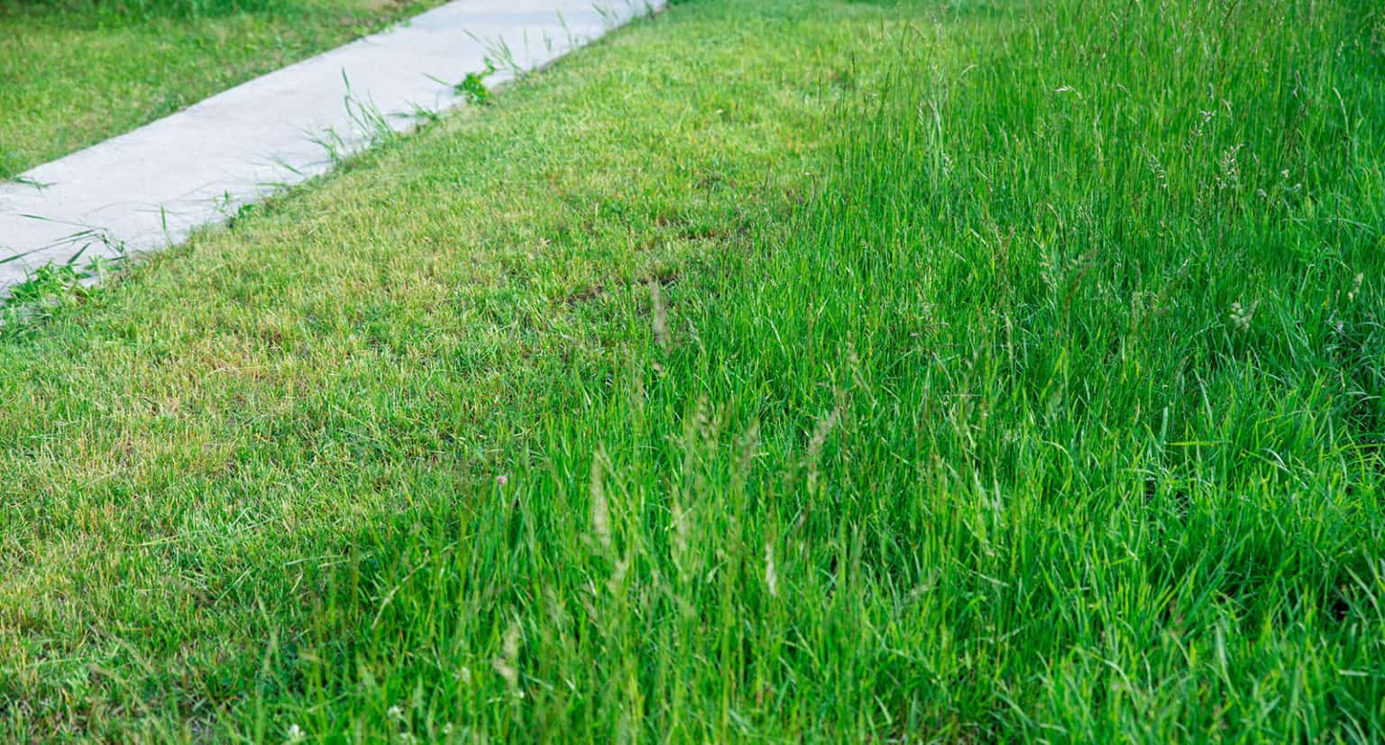 Separate Your Lawn and Garden With Mowing Strips in 7 Easy Steps