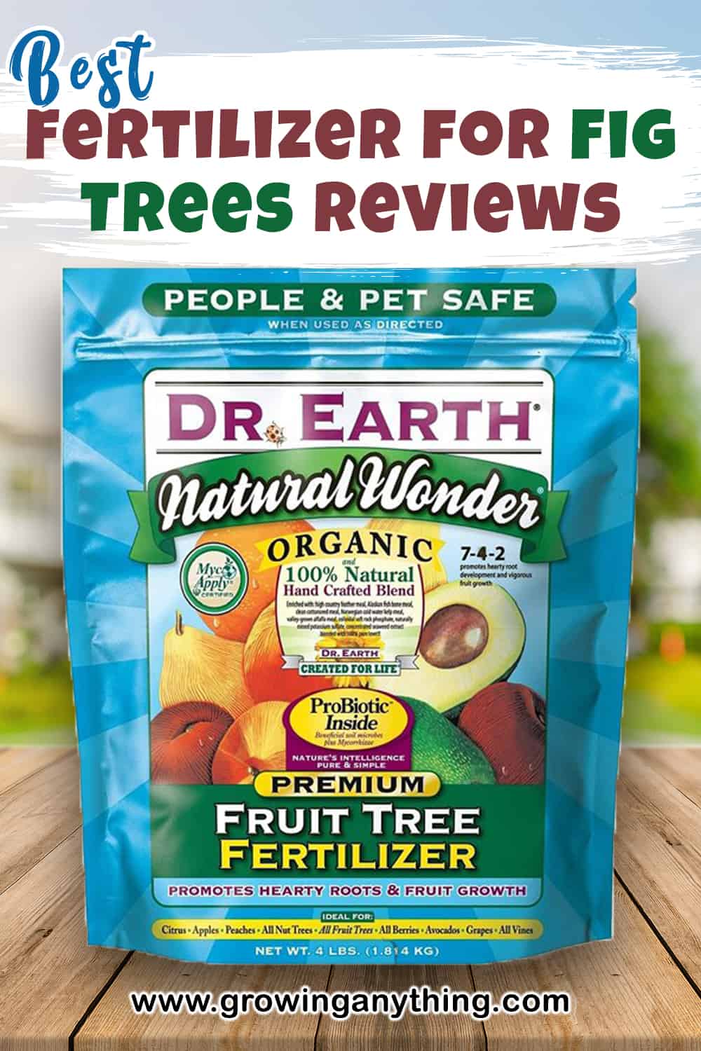 Top 15 Best Fertilizer for Fig Trees Reviews 2024