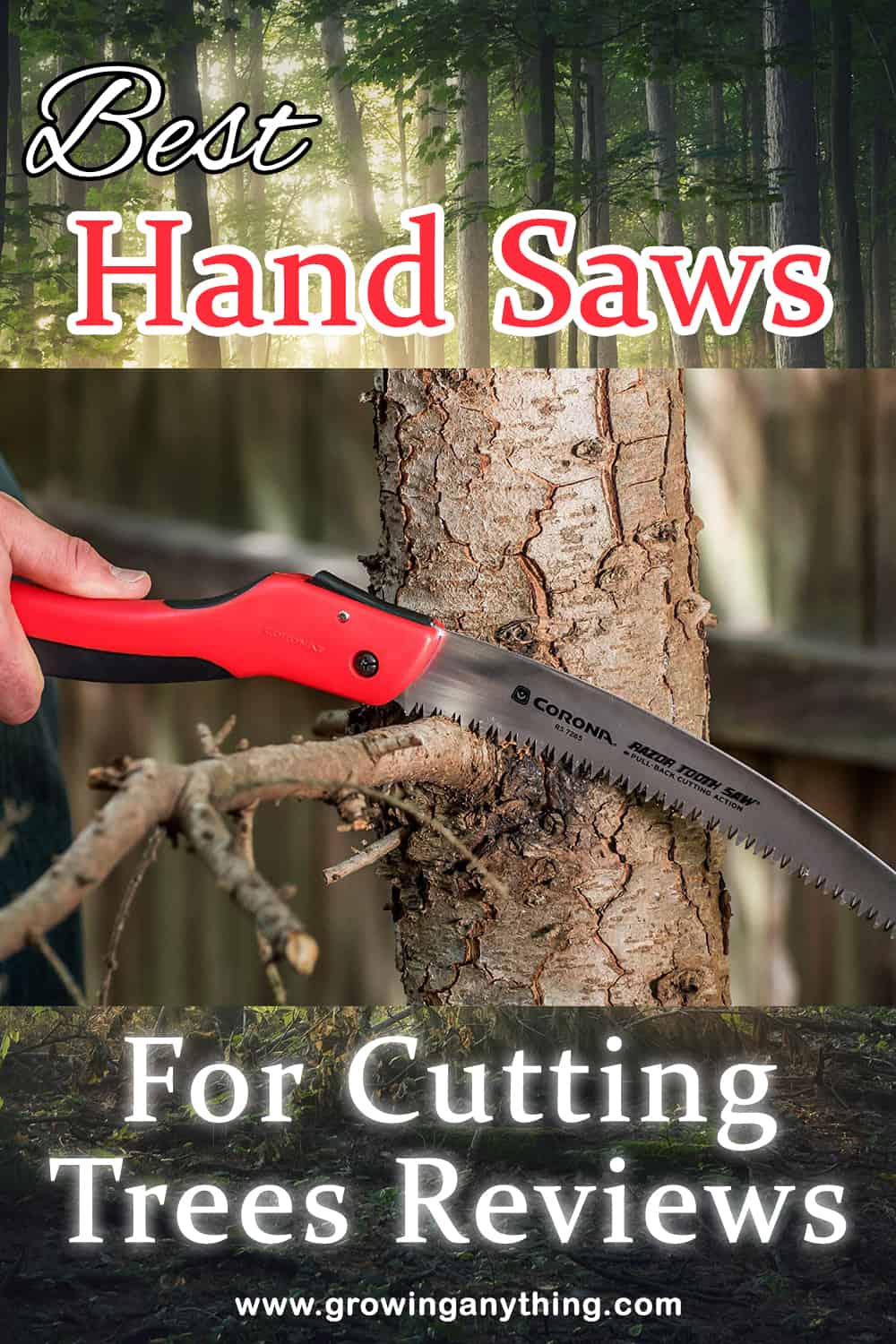 Top 15 Best Hand Saws For Cutting Trees Reviews 2024