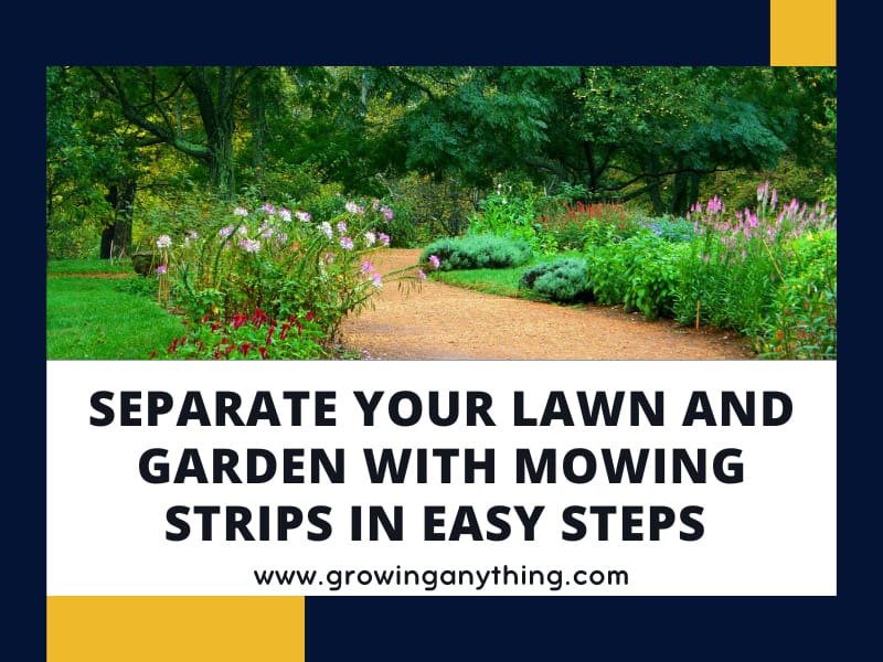 Separate Your Lawn and Garden With Mowing Strips in 7 Easy Steps