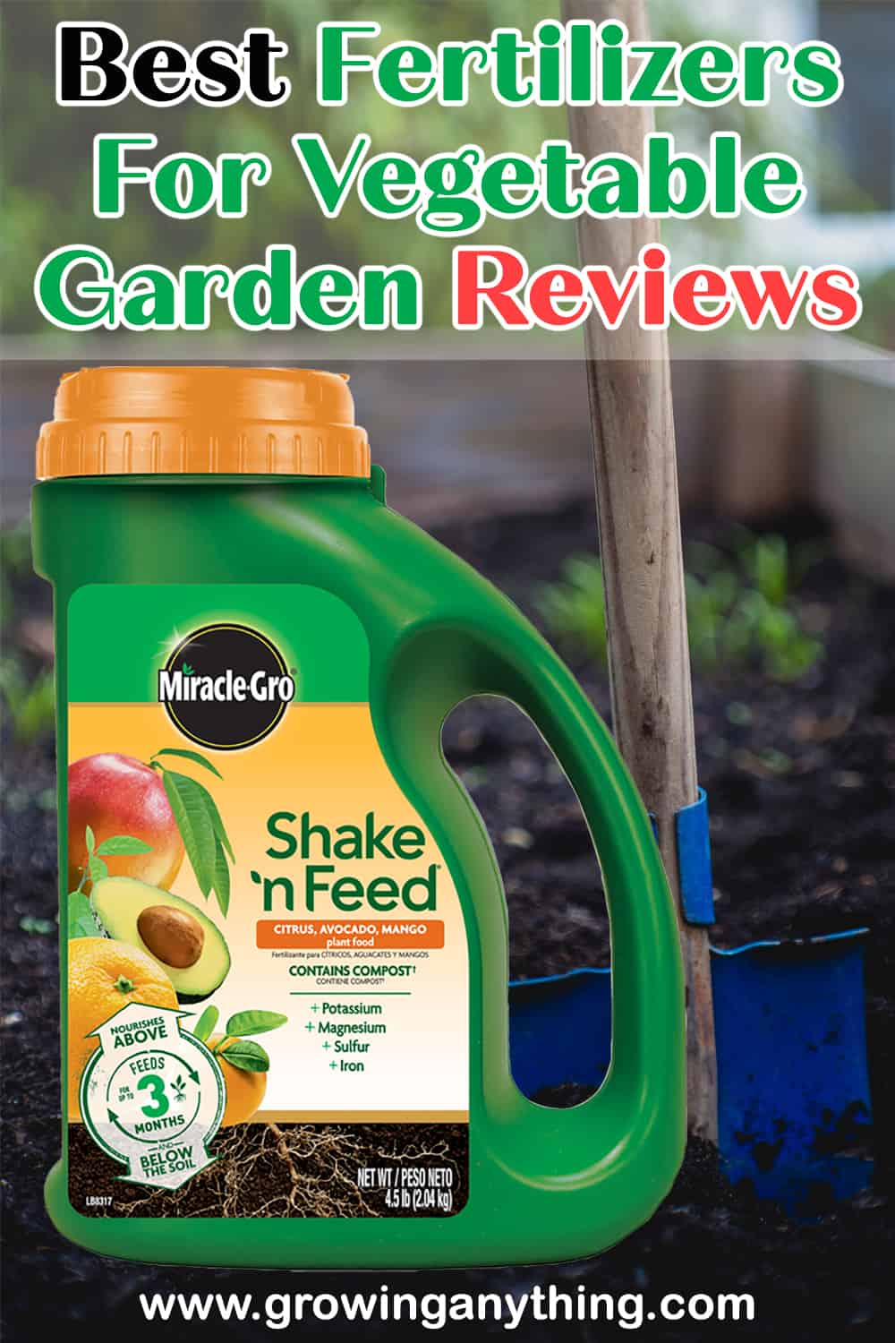 Top 15 Best Fertilizer for Fruit Trees Reviews 2024
