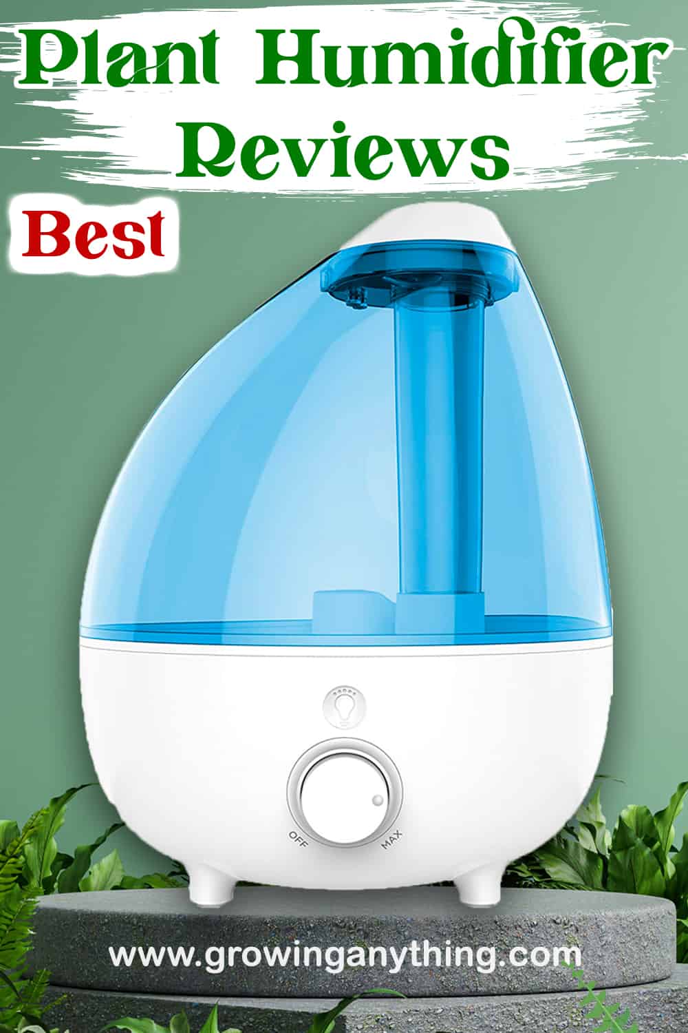 Top 15 Best Plant Humidifier Reviews 2024