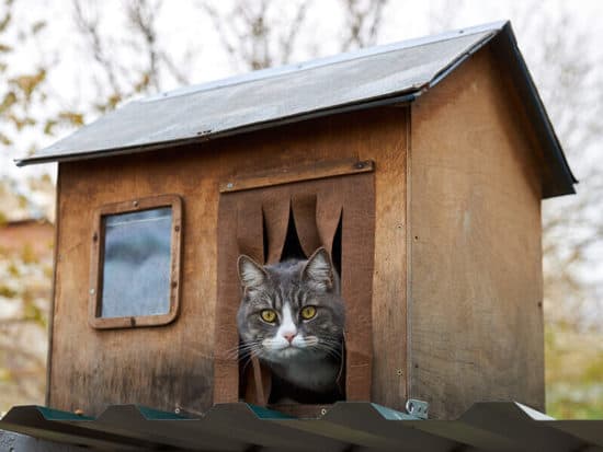 20 DIY Outdoor Cat House Ideas That Don’t Take Much Time and Effort