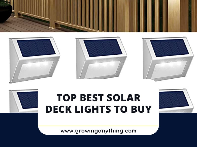 Top 15 Best Solar Deck Lights To Buy 2024