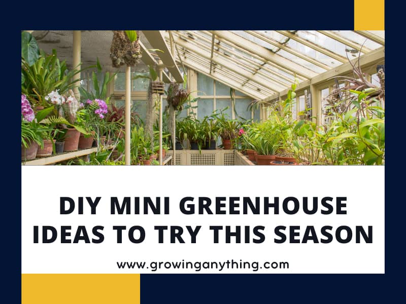 20 DIY Mini Greenhouse Ideas To Try This Season 2024