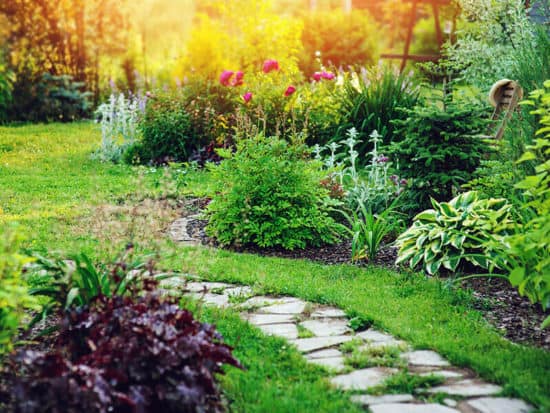 36 Difference Types of Gardens Explained For Every Space and Purpose 2024