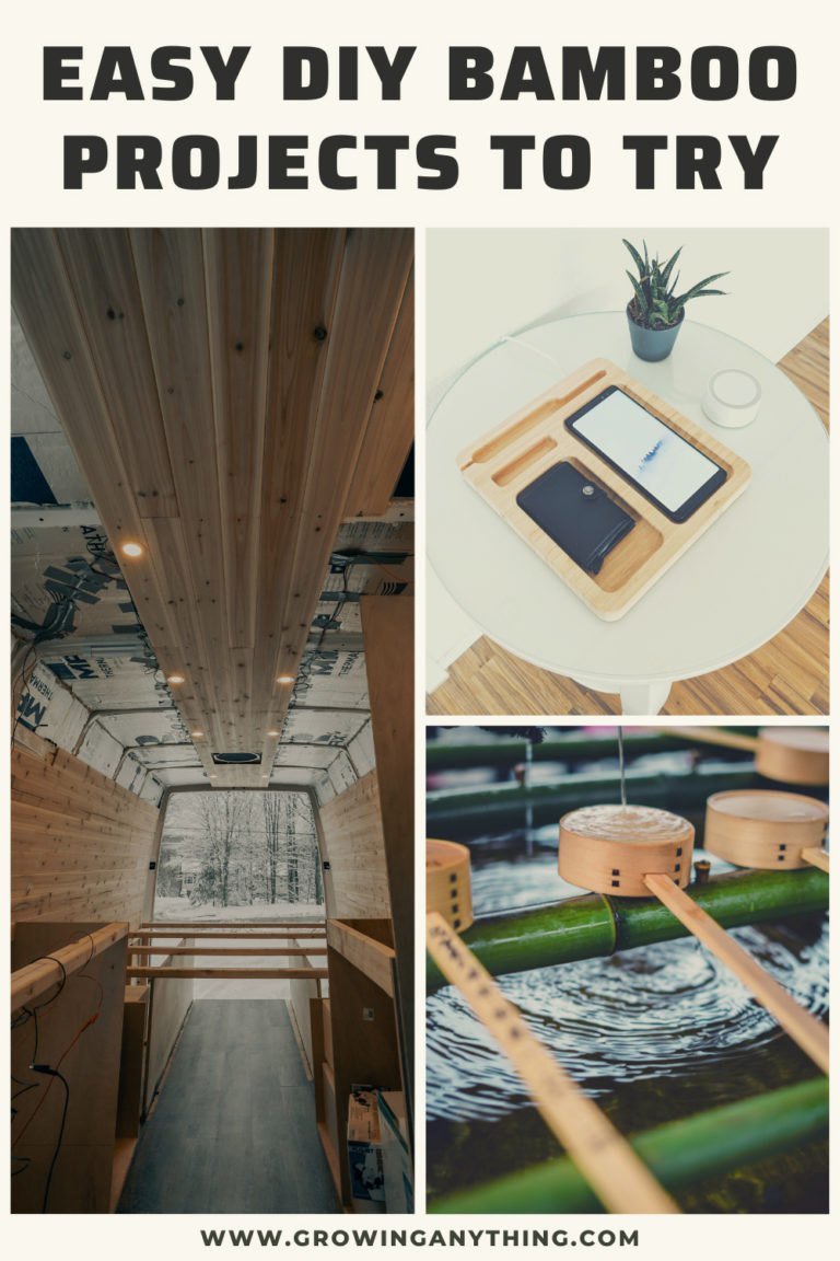 25 Easy DIY Bamboo Projects To Try 2024