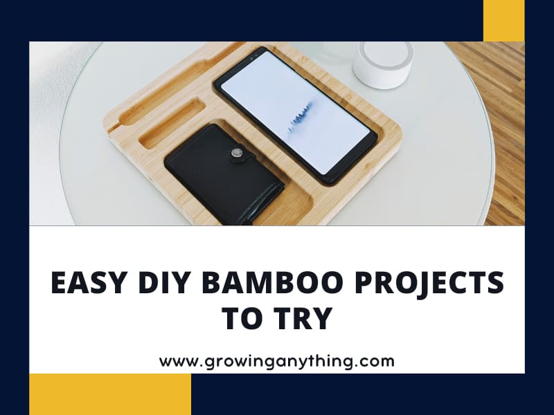 25 Easy DIY Bamboo Projects To Try 2024