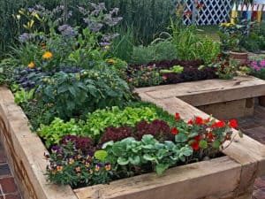 36 Difference Types of Gardens Explained For Every Space and Purpose 2024