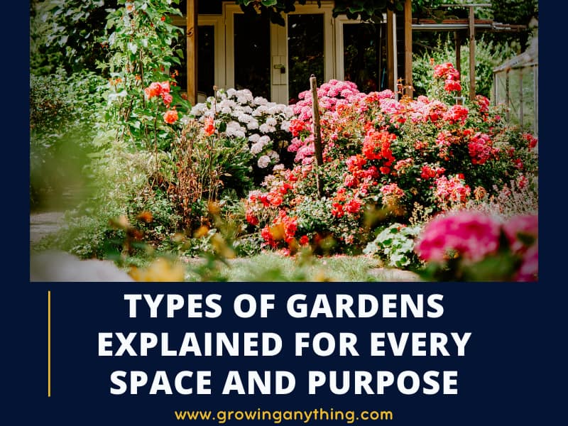 36 Difference Types of Gardens Explained For Every Space and Purpose 2024