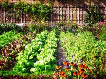 36 Difference Types of Gardens Explained For Every Space and Purpose 2024