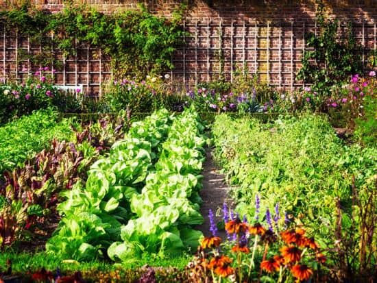 36 Difference Types of Gardens Explained For Every Space and Purpose 2024